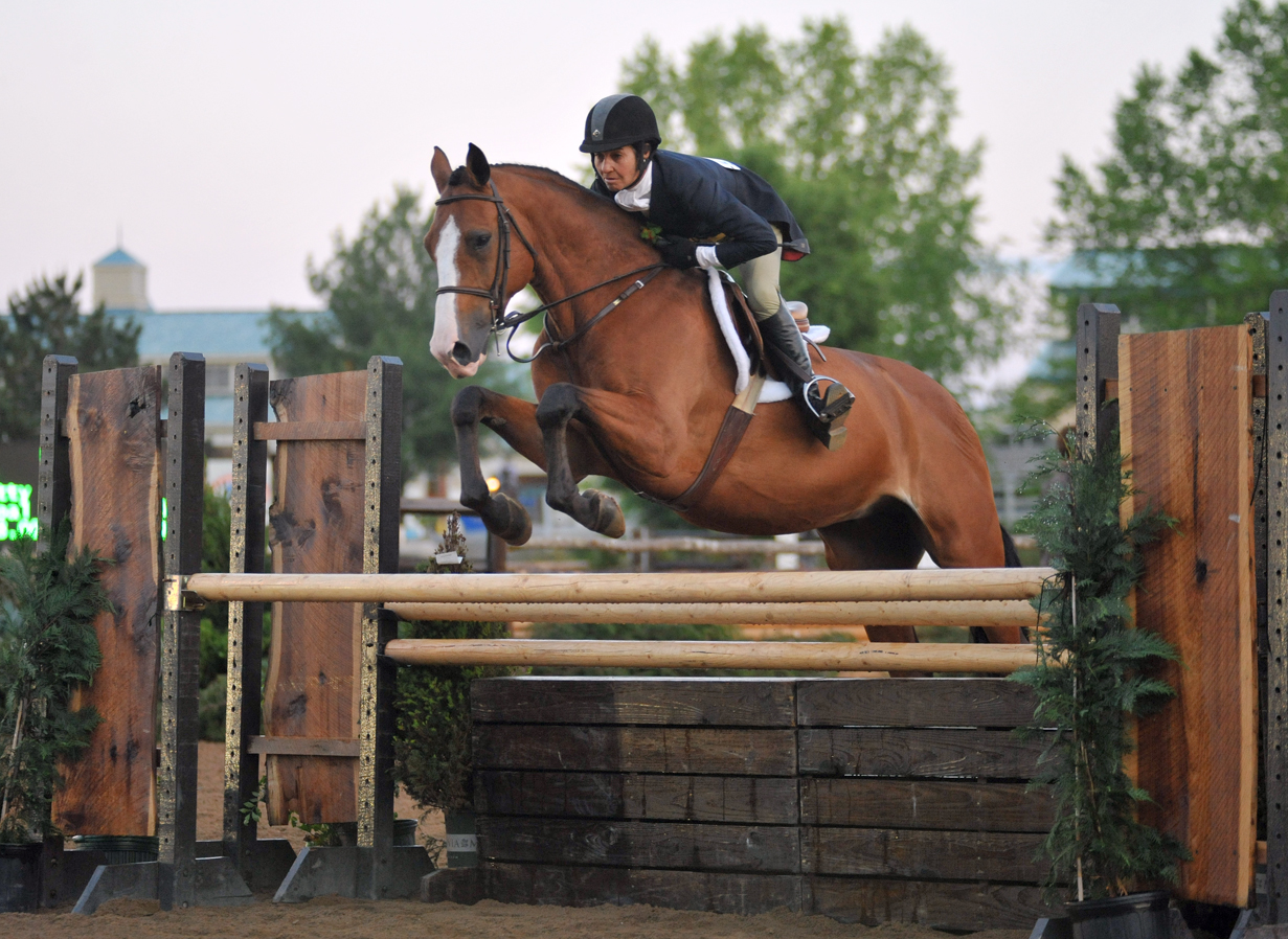 The Chronicle of the Horse