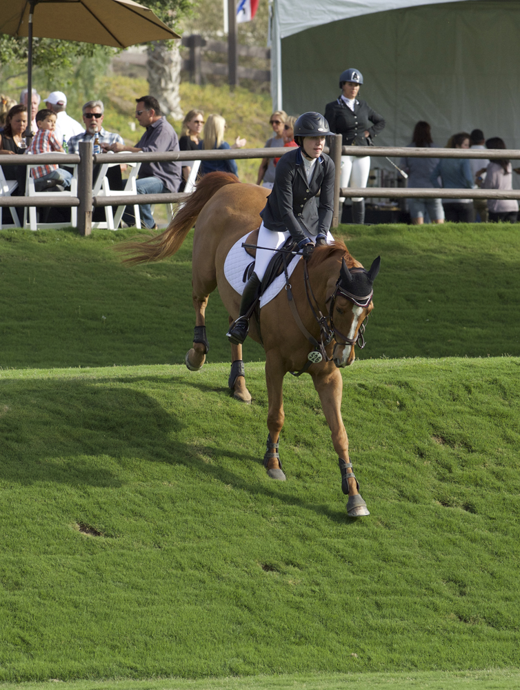 The Chronicle of the Horse