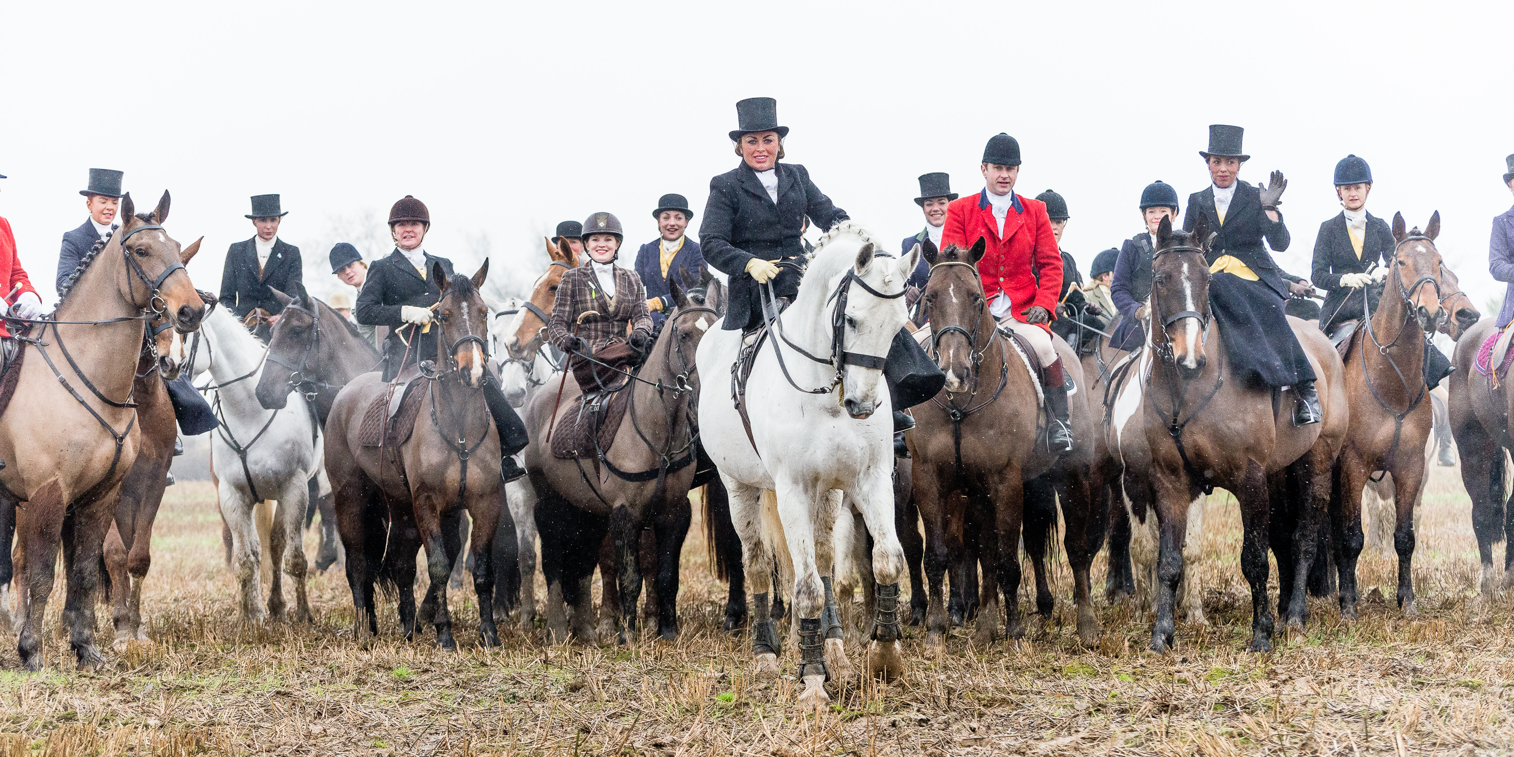 The Chronicle of the Horse