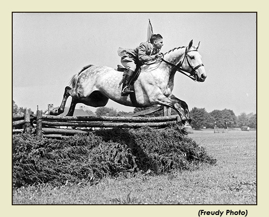 A Quick Ride Through The History Of Horseback Riding