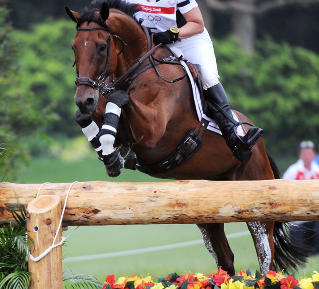 The Chronicle of the Horse