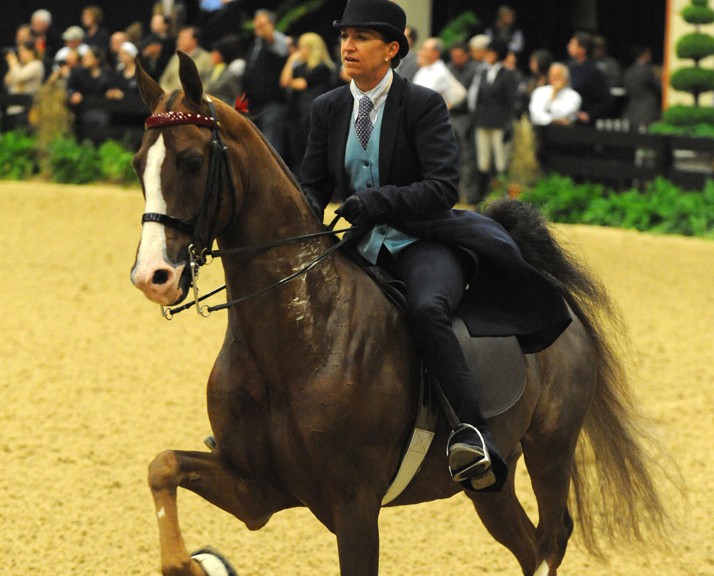 The Chronicle of the Horse