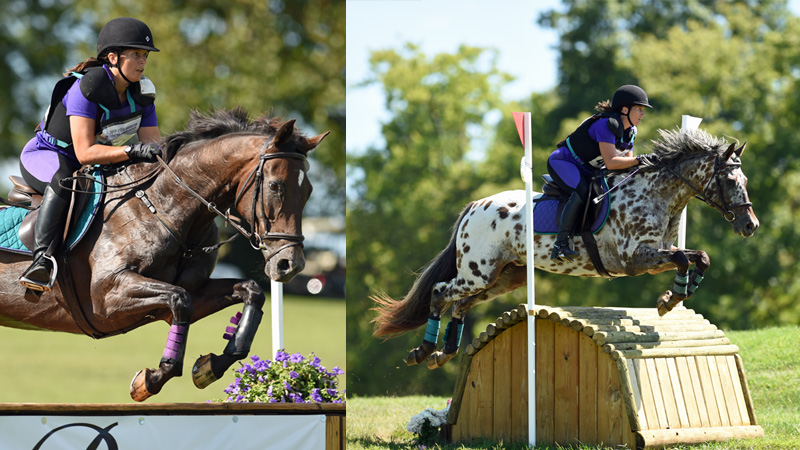 The Chronicle of the Horse