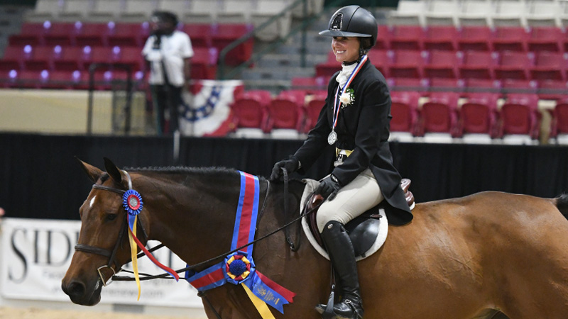 The Chronicle of the Horse